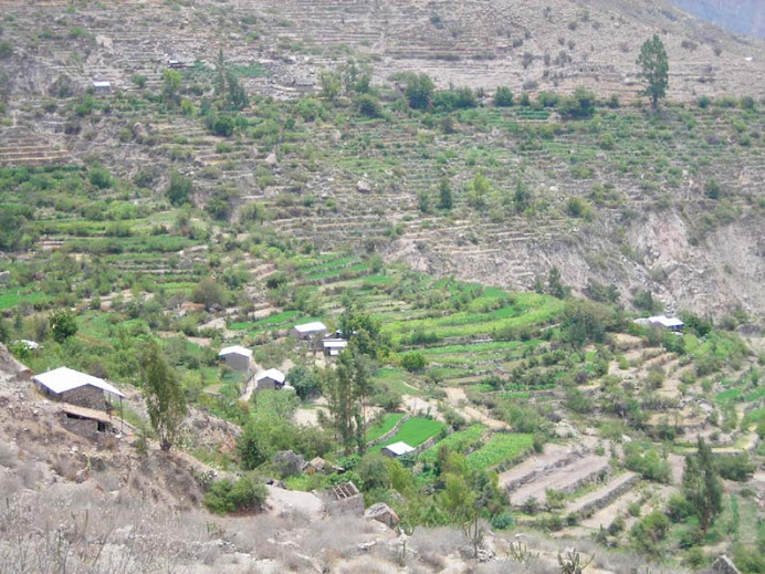 CLUB JUVENTUD TAURIA